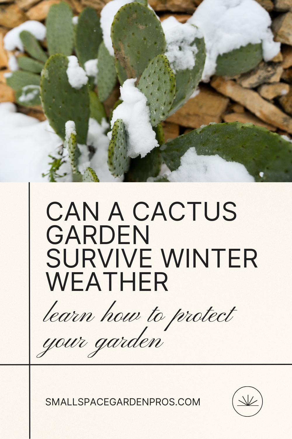 Can a Cactus Garden Survive Winter Weather: Unveiling the Secrets of ...
