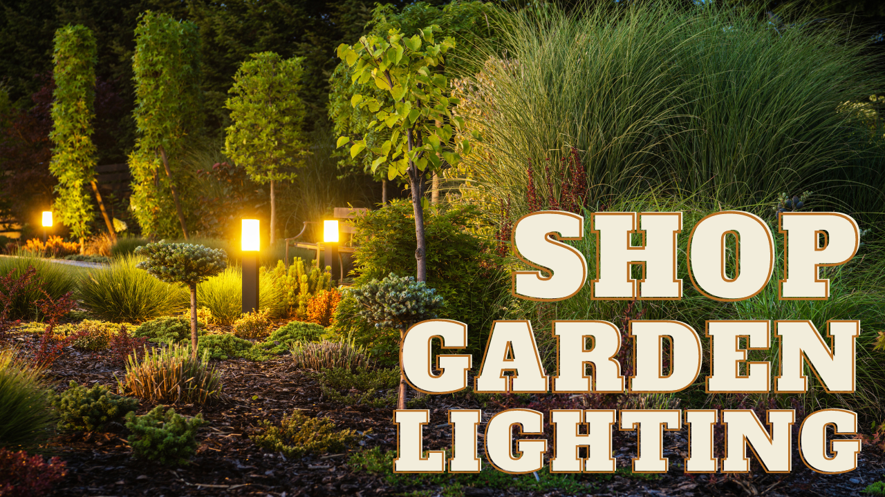 Best Perennials for Chicago: Hardy Plants That Thrive in Zone 5 Gardens ...