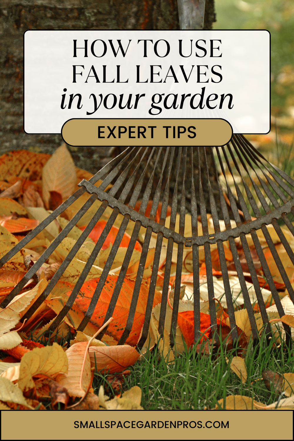 Best Kept Leafy Secrets: How to Use Fall Leaves in Your Garden - Small ...