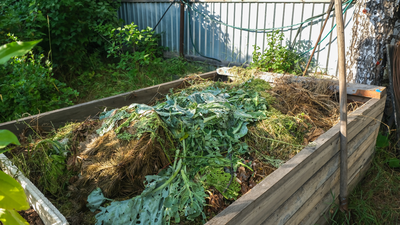 How to Compost Pine Needles the Right Way: A Complete Guide - Small ...