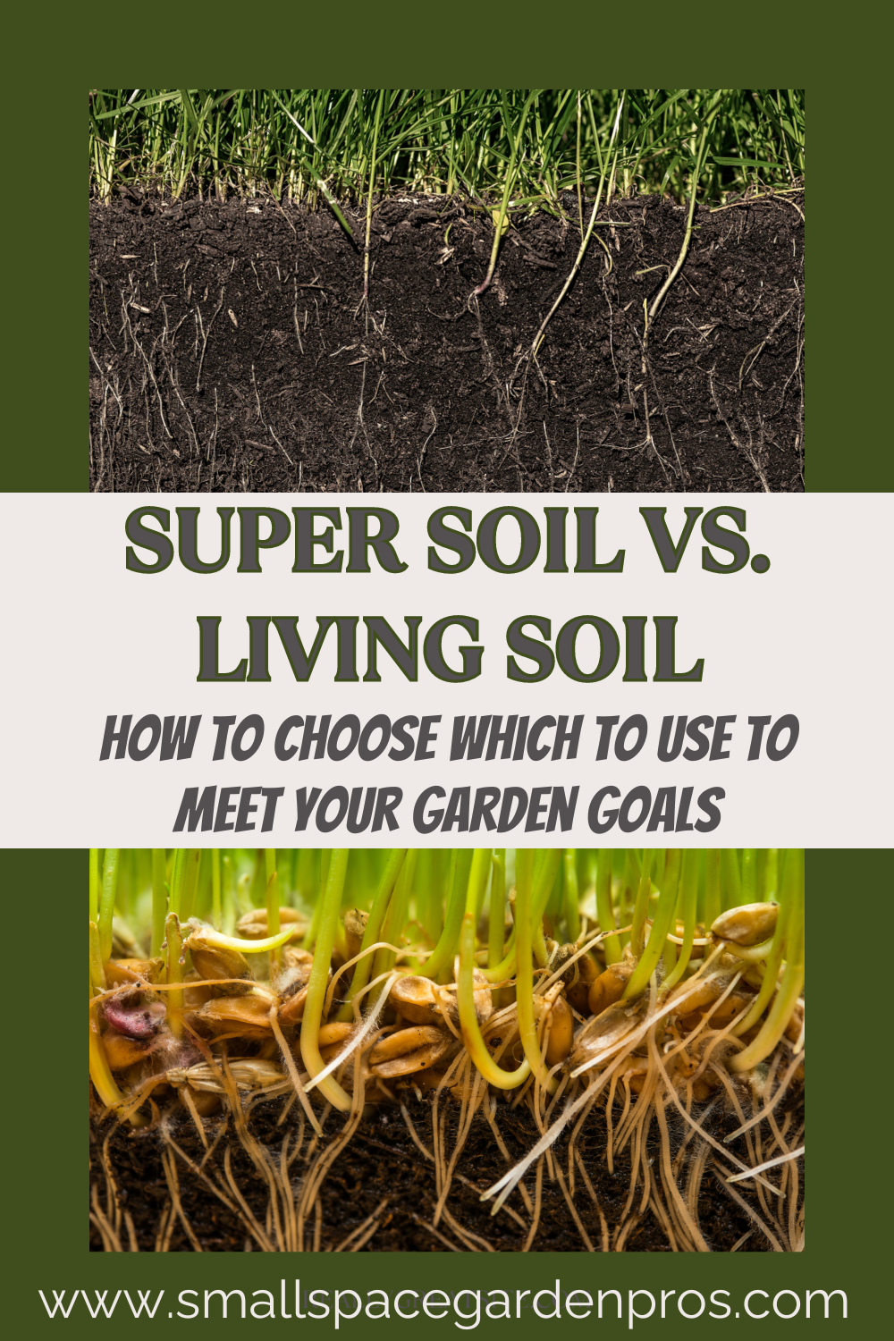 Super Soil vs. Living Soil: Unveiling the Best Medium for Plant Growth ...