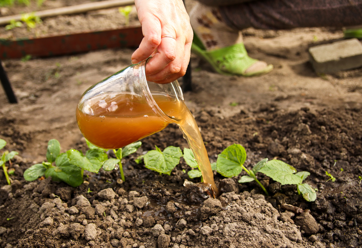 Choosing the Best Liquid Fertilizer: Which Fertilizers Should You Use ...