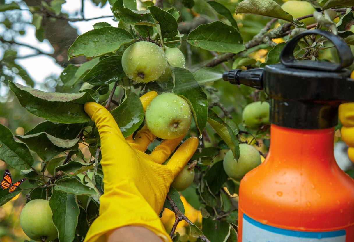 Choosing the Best Liquid Fertilizer: Which Fertilizers Should You Use ...