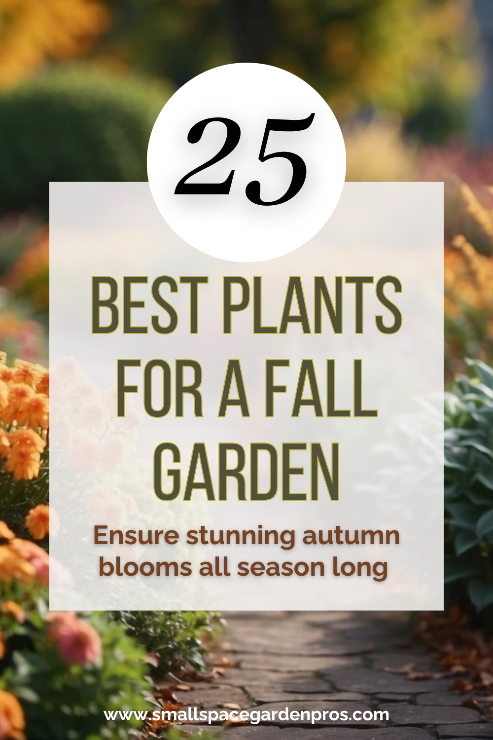 25 Best Plants for a Fall Garden: Top Picks for Seasonal Beauty - Small ...