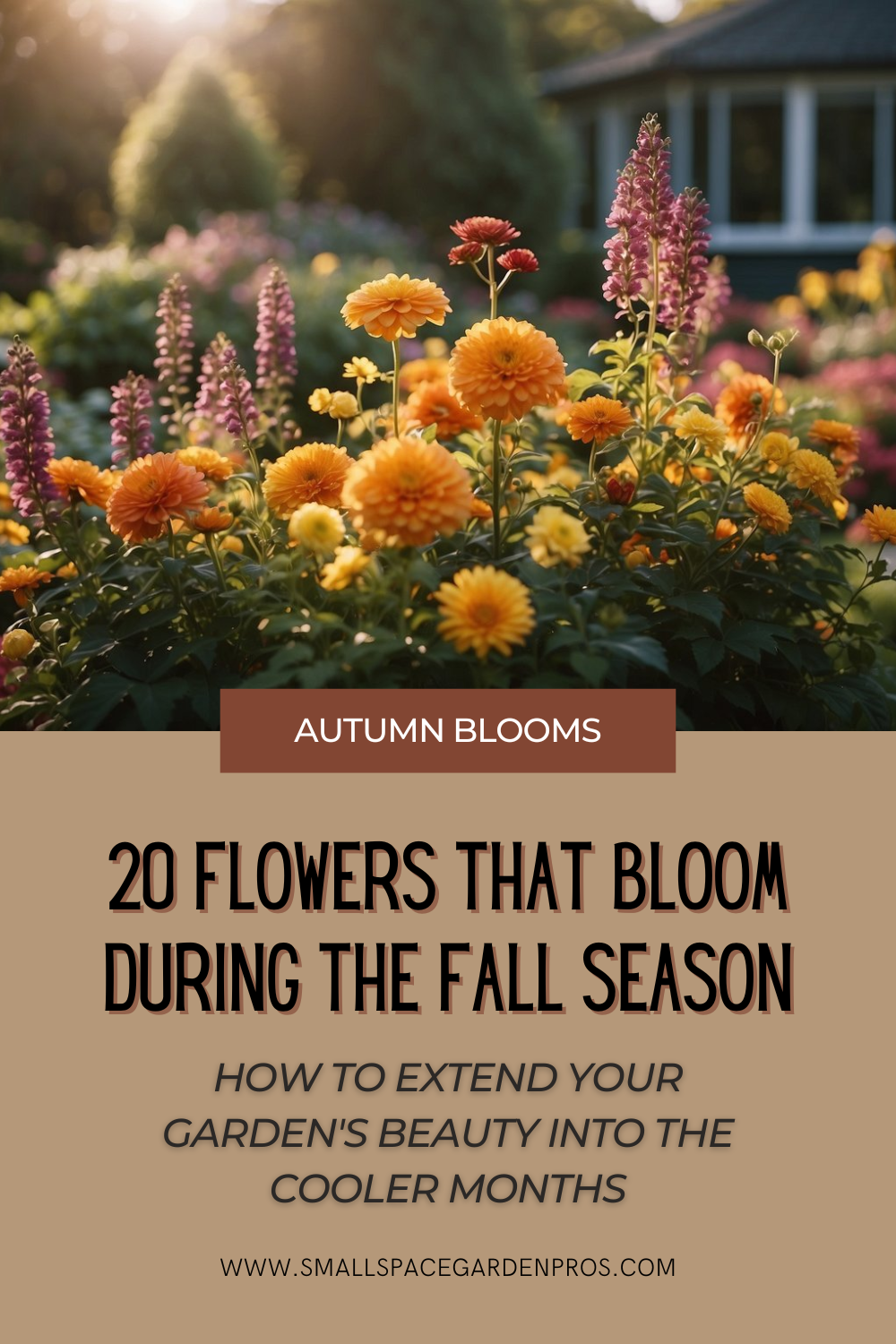 20 Flowers That Bloom in the Fall: A Seasonal Gardening Guide - Small ...