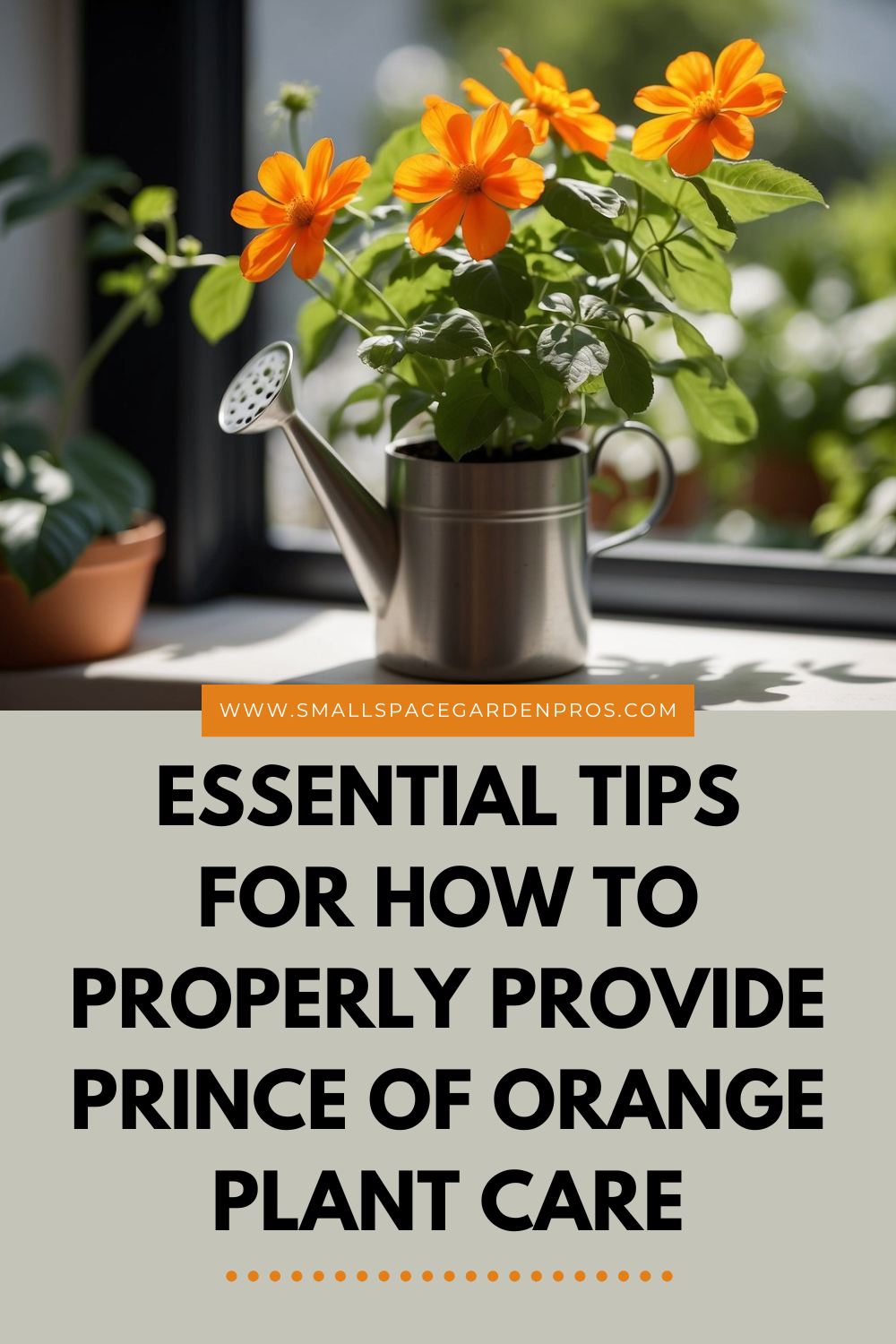 Prince of Orange Plant Care: Essential Tips for Vibrant Foliage - Small ...