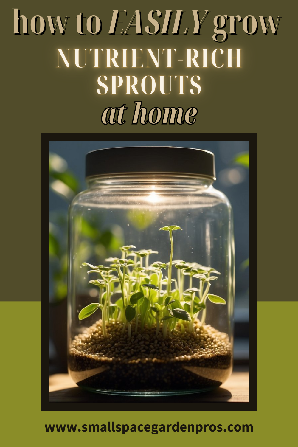 Sprouting Sesame Seeds: A Comprehensive Guide to Nutrient-Rich Growth ...